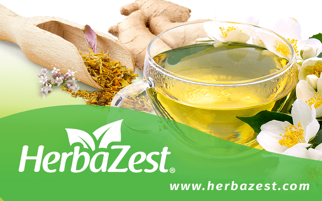 Recetas Saludables - Página 16 | HerbaZest