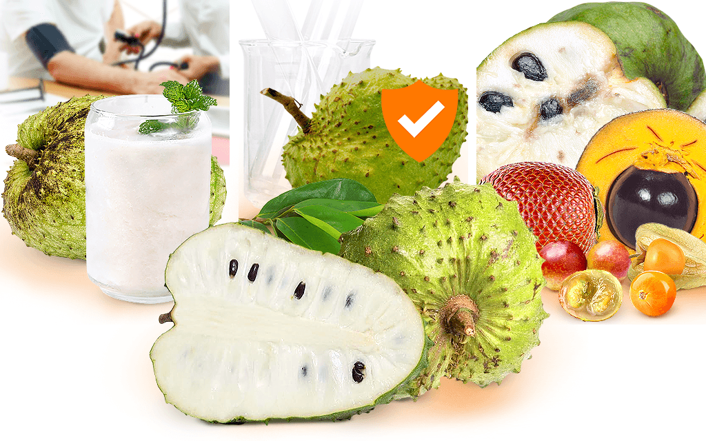 Soursop News & Research | HerbaZest