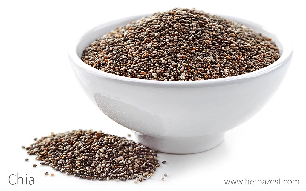 Chia HerbaZest