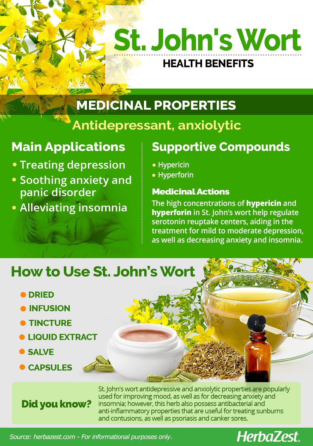14 Hypericum Perforatum Or St John S Wort Oil Benefits How To Ripe