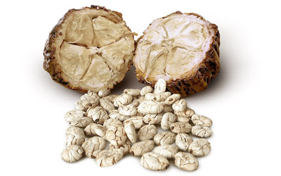 Welcome to HerbaZest